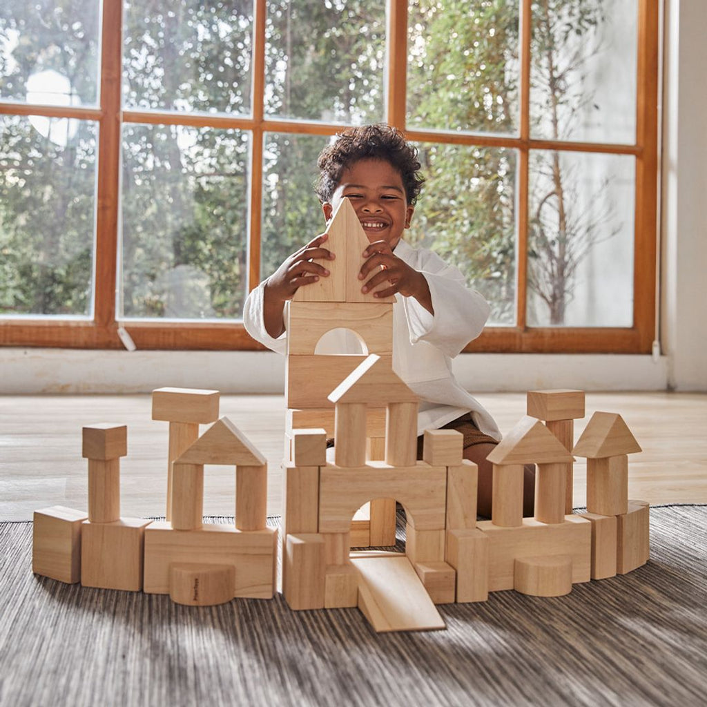 PlanToys 50 Unit Blocks - Gimme the Good Stuff