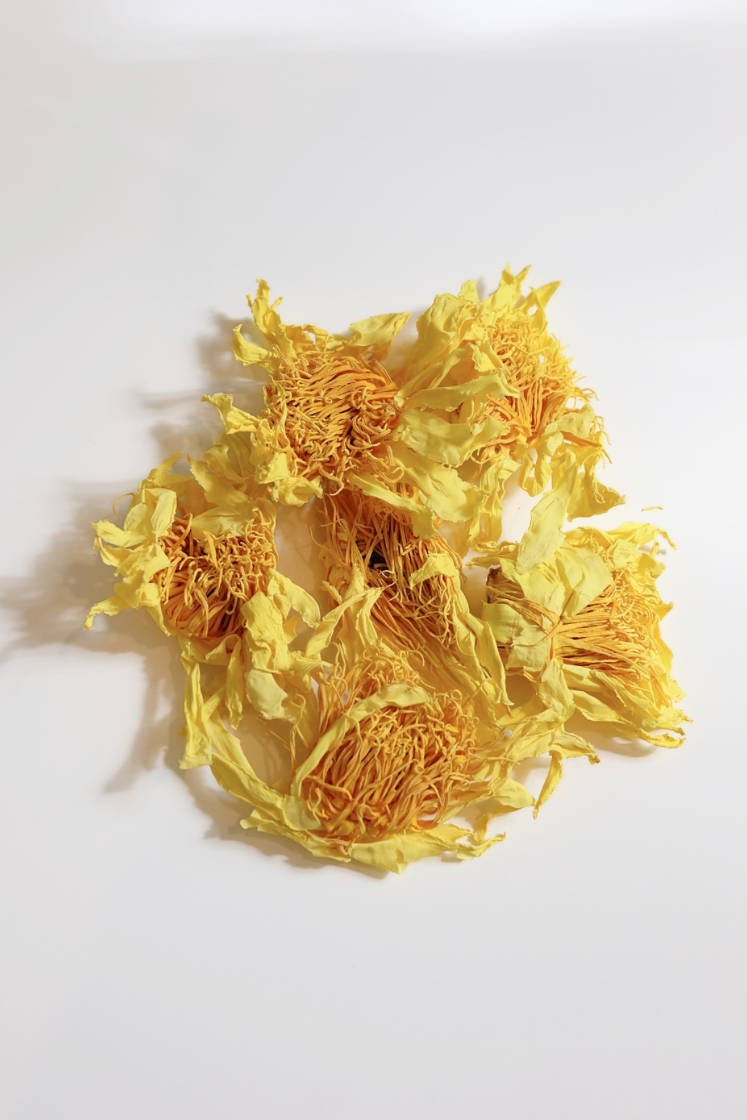 Mala Tara Water Lily Whole Flower Tea Pouch - Gimme the Good Stuff