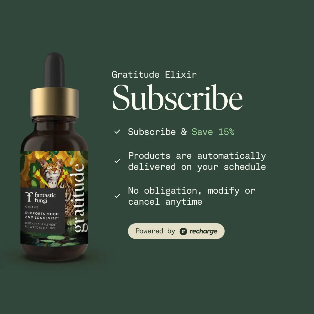 Fantastic Fungi Gratitude Elixir - Gimme the Good Stuff